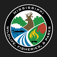 MS.GOV Mobile Apps | MS.GOV